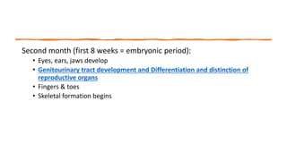 Overview of Embryology in the Reproductive System.pptx
