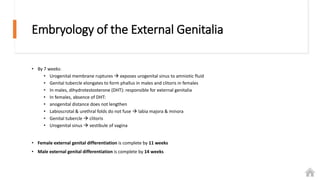 Overview of Embryology in the Reproductive System.pptx