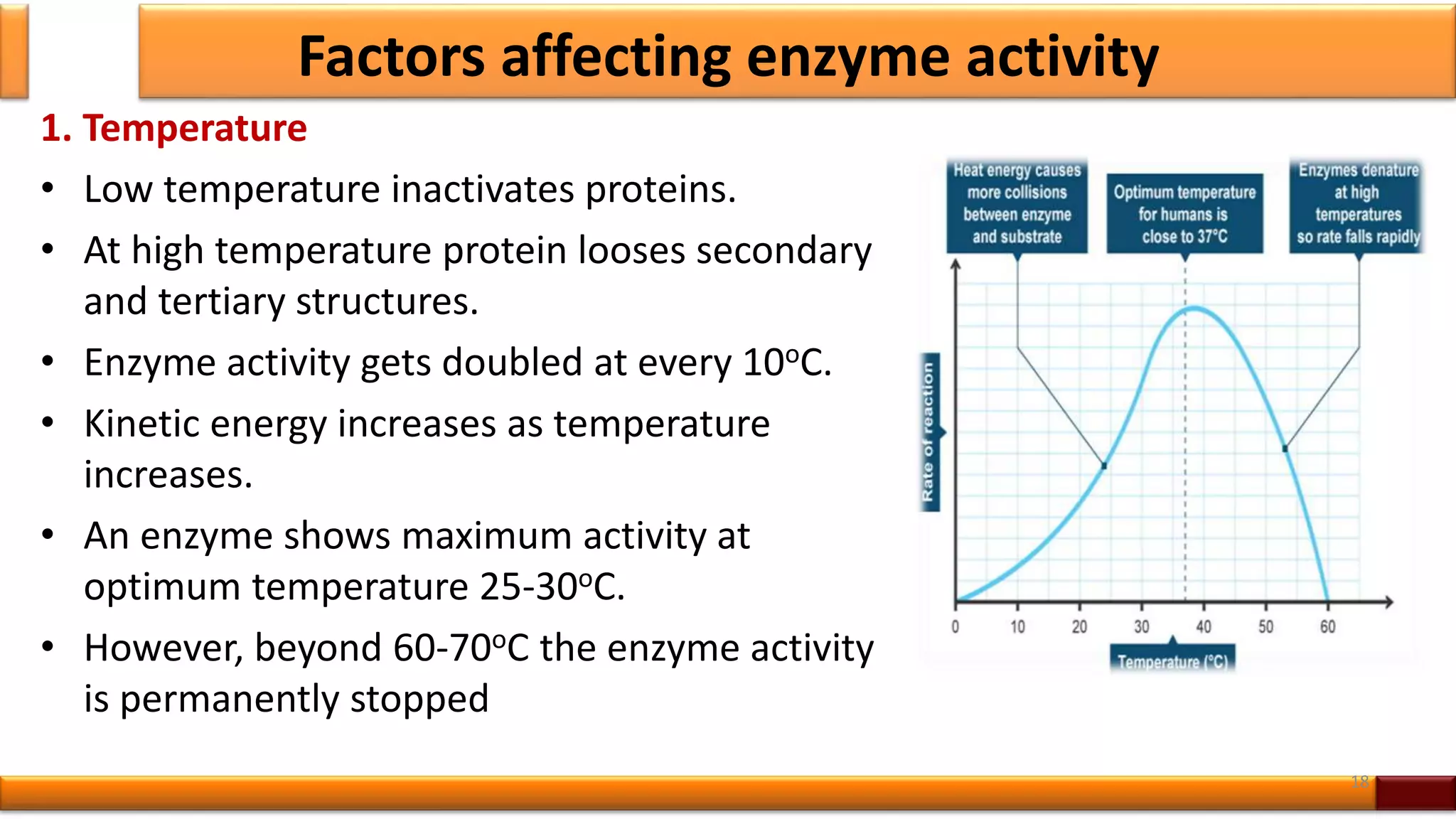 Overview of enzyme | PPTX