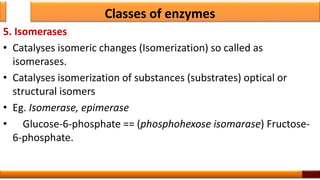 Overview of enzyme | PPTX