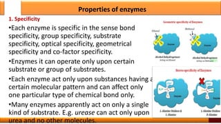 Overview of enzyme | PPTX