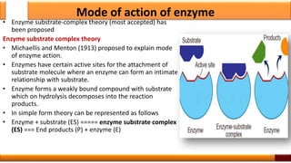 Overview Of Enzyme Pptx