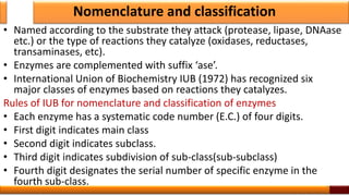 Overview of enzyme | PPTX