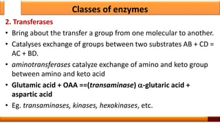 Overview of enzyme | PPTX | Chemistry | Science