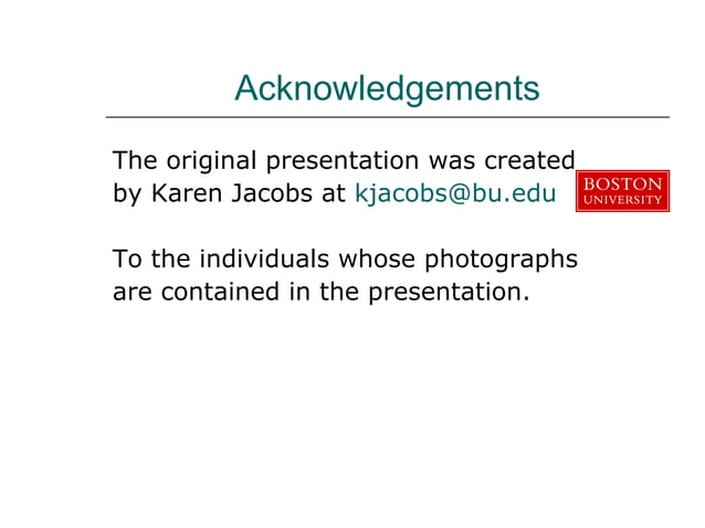 Overview of ergonomics | PPT | Computer Peripherals | Computing
