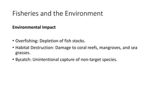 Overview of Fisheries, Importance, Challenges, and Sustainable ...
