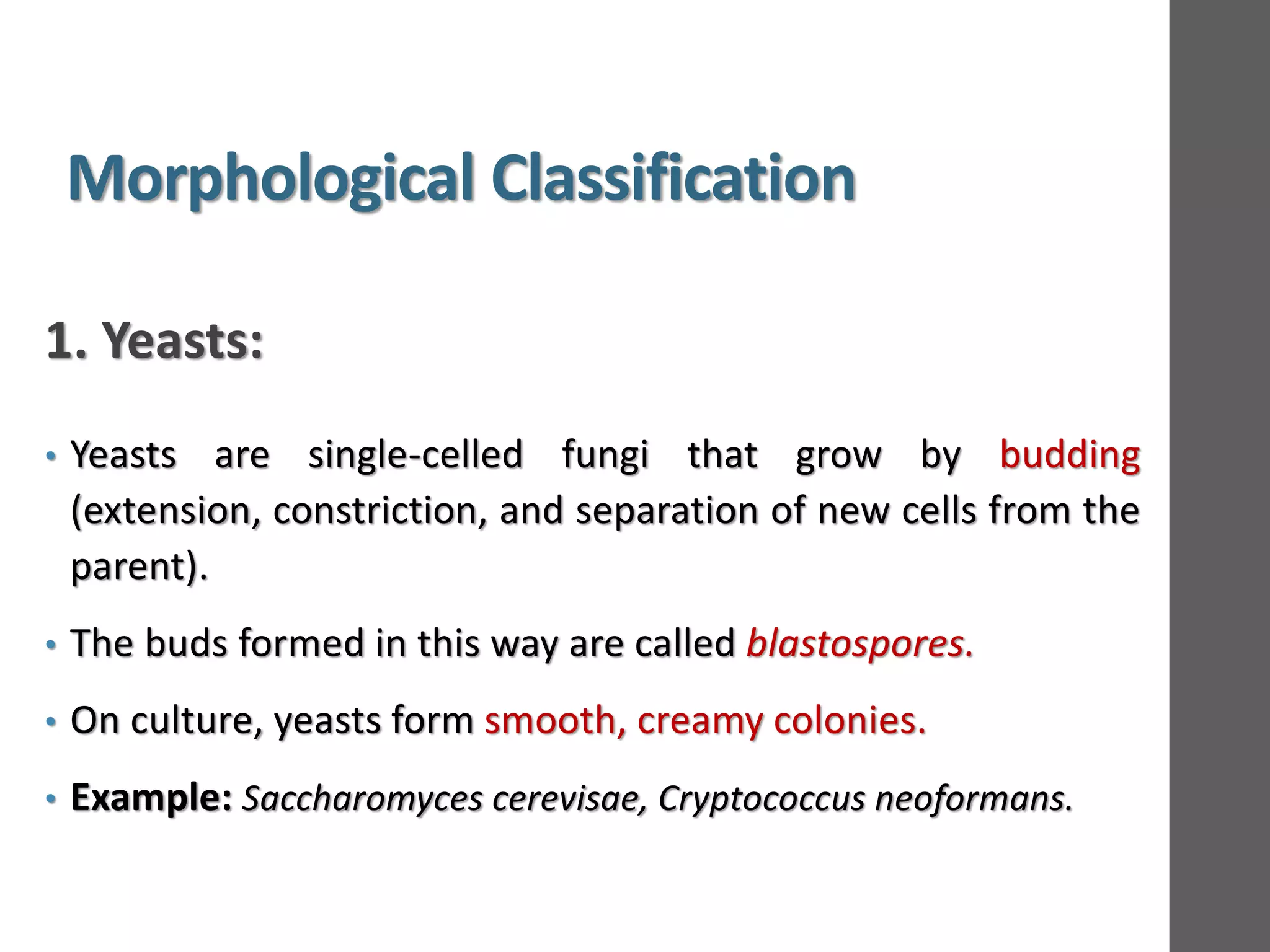 Overview of Fungal Infections | PDF