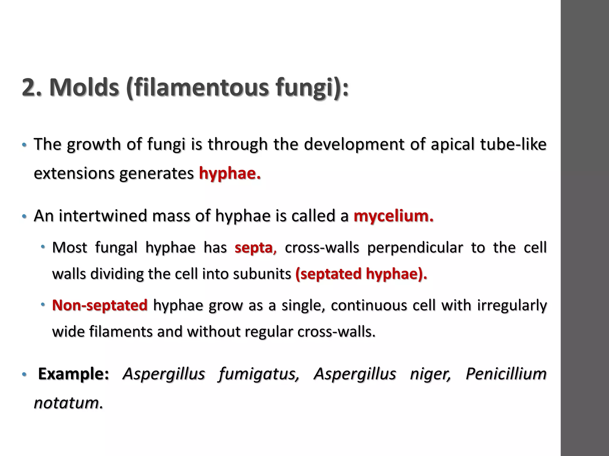 Overview of Fungal Infections | PDF