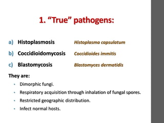 Overview of Fungal Infections | PDF
