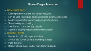 Overview of fungi | PPTX