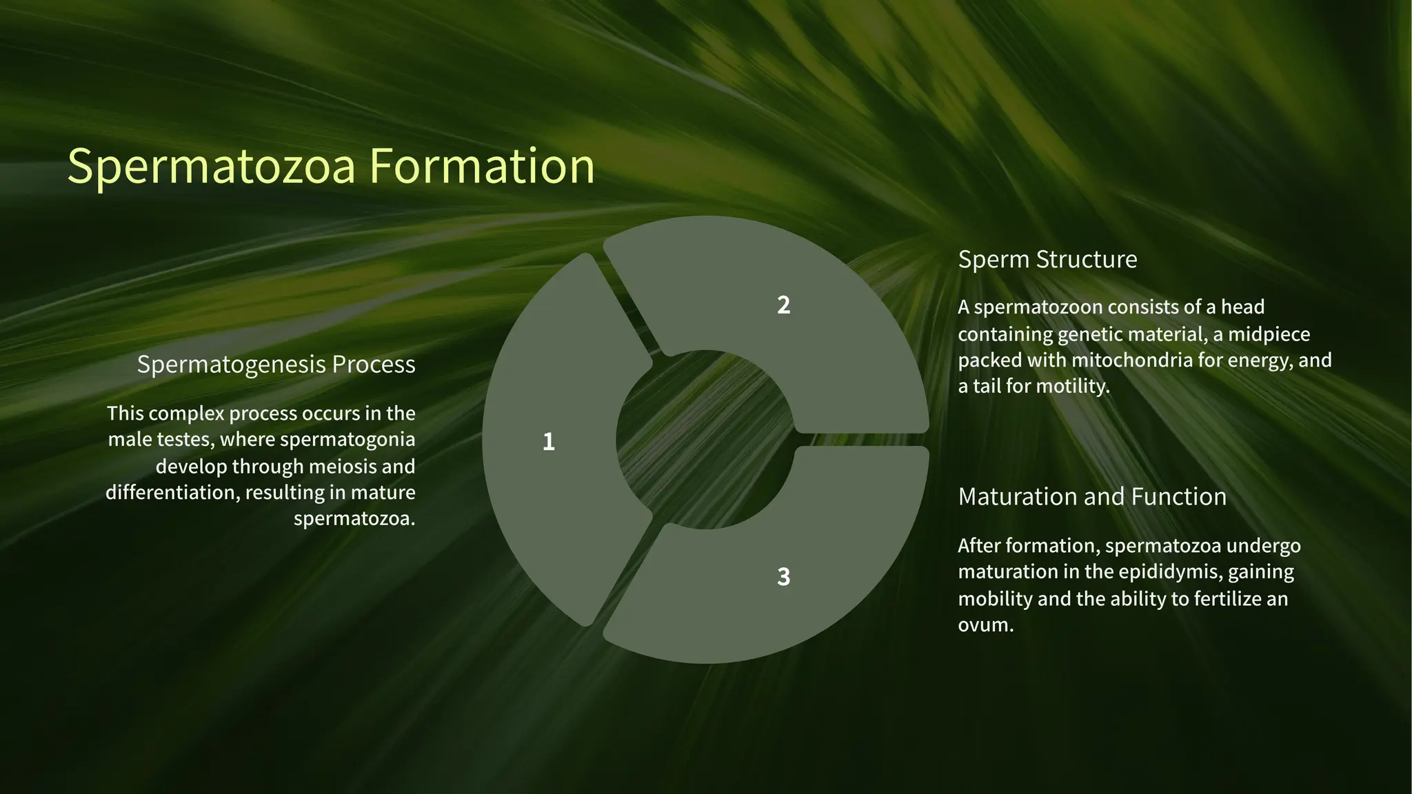 Overview of General Embryology ovam and sperm.pdf