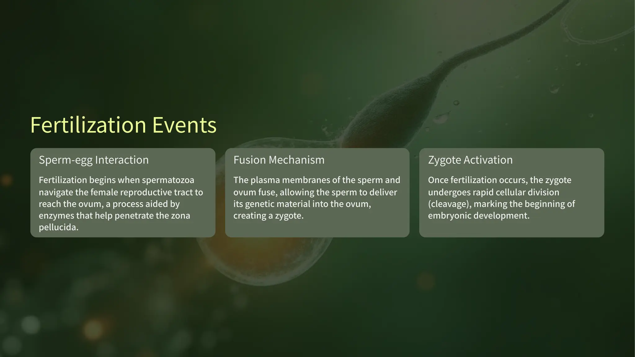 Overview of General Embryology ovam and sperm.pdf