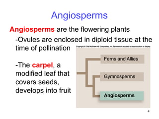 plants | PPT