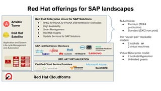 Overview of Red Hat's HA Solutions for SAP | PDF | Cloud Computing ...