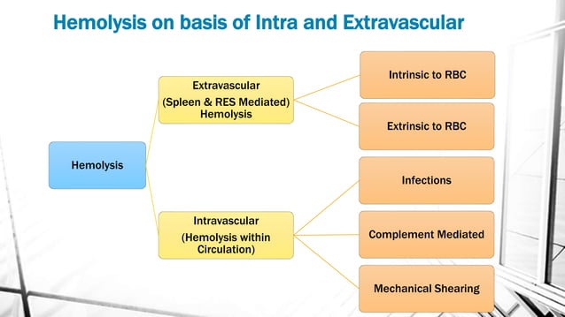 Overview of hemolytic anemia Both Intra and Extravascular | PPTX ...