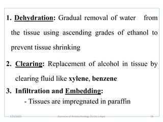 OVERVIEW OF HISTOTECHNOLOGY.pdf