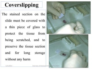 OVERVIEW OF HISTOTECHNOLOGY.pdf