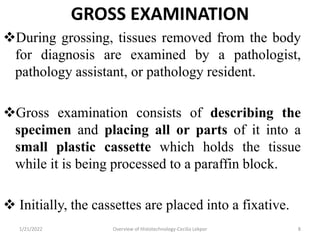 OVERVIEW OF HISTOTECHNOLOGY.pdf