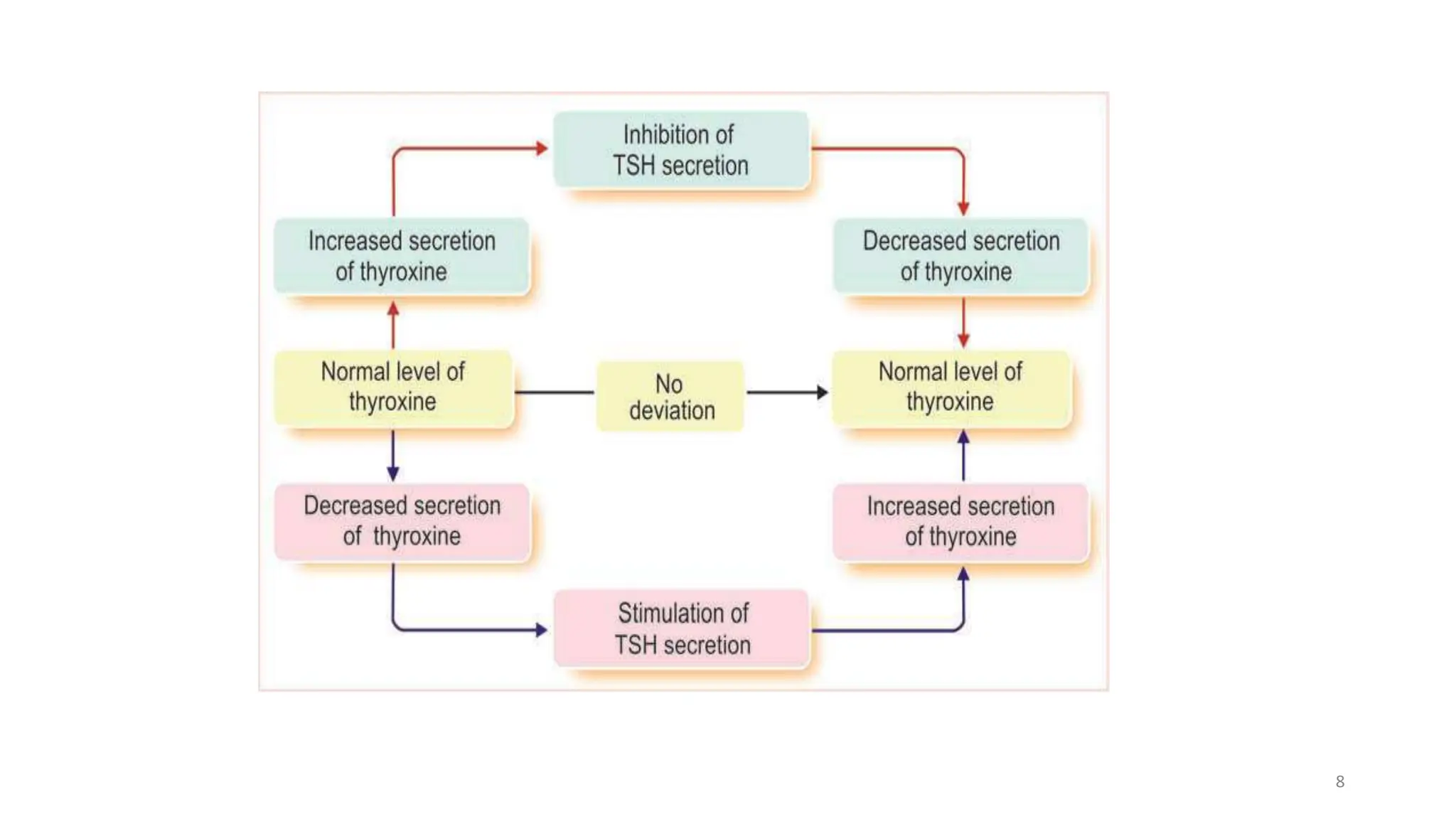 OVERVIEW OF HOMEOSTASIS.pptx