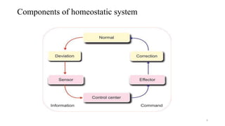 OVERVIEW OF HOMEOSTASIS.pptx