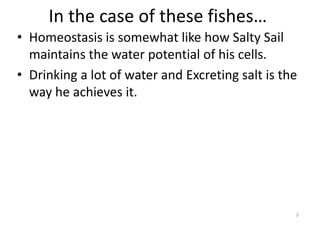 Overview of homeostasis & excretion | PPTX