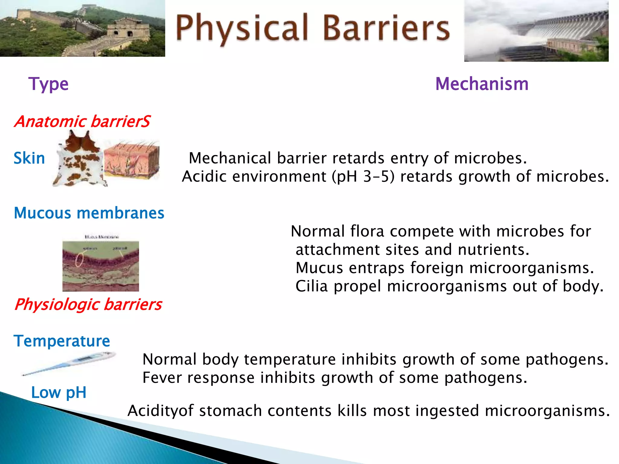Overview of immune response | PPTX