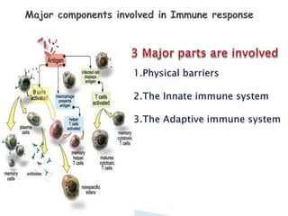 Overview of immune response | PPTX