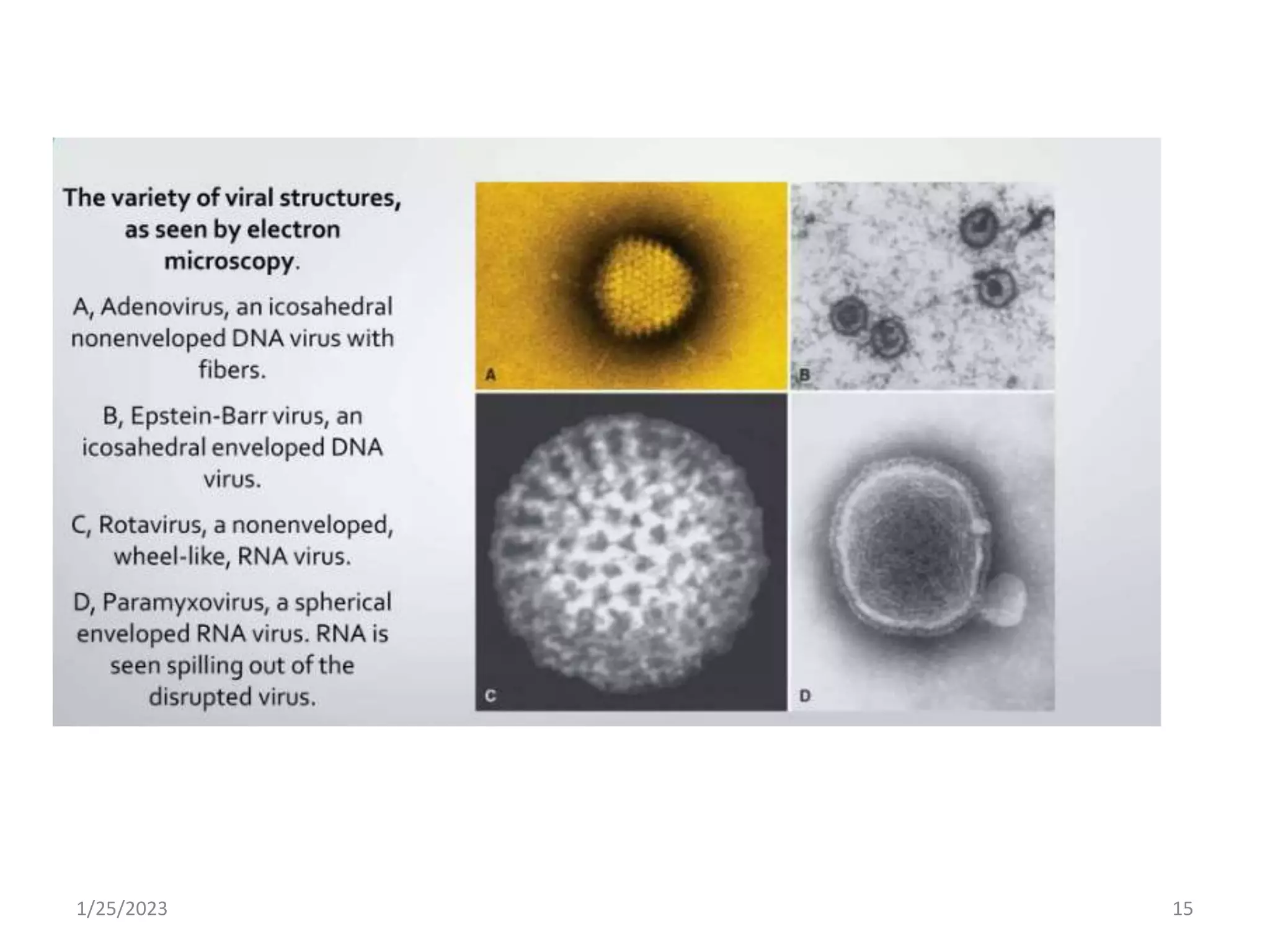 Overview of infectious diseases.pptx