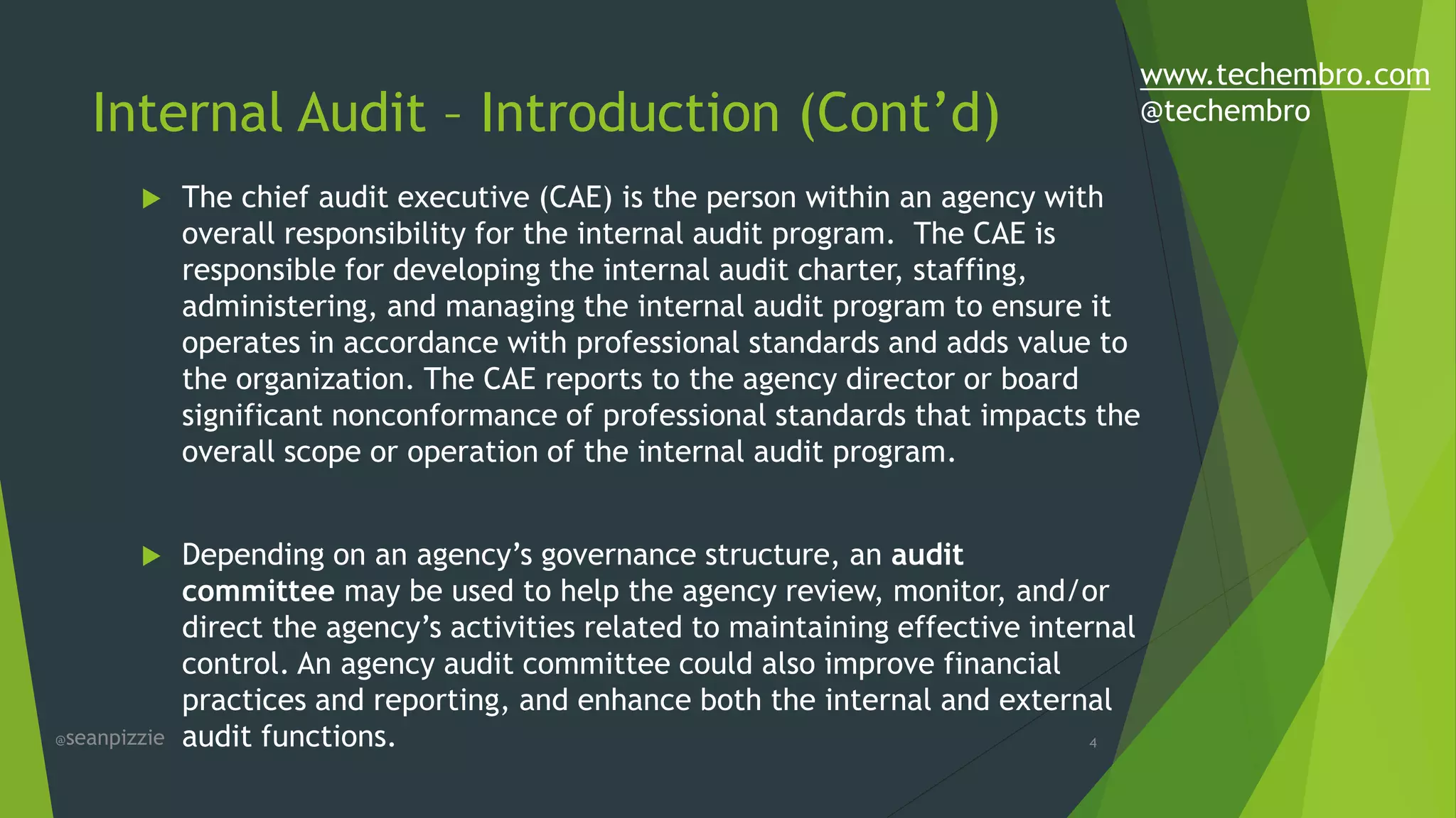 Overview of Internal Audit | PPTX