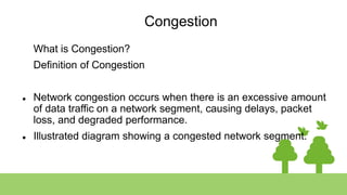 overview of internet CN (Prakash).pptx