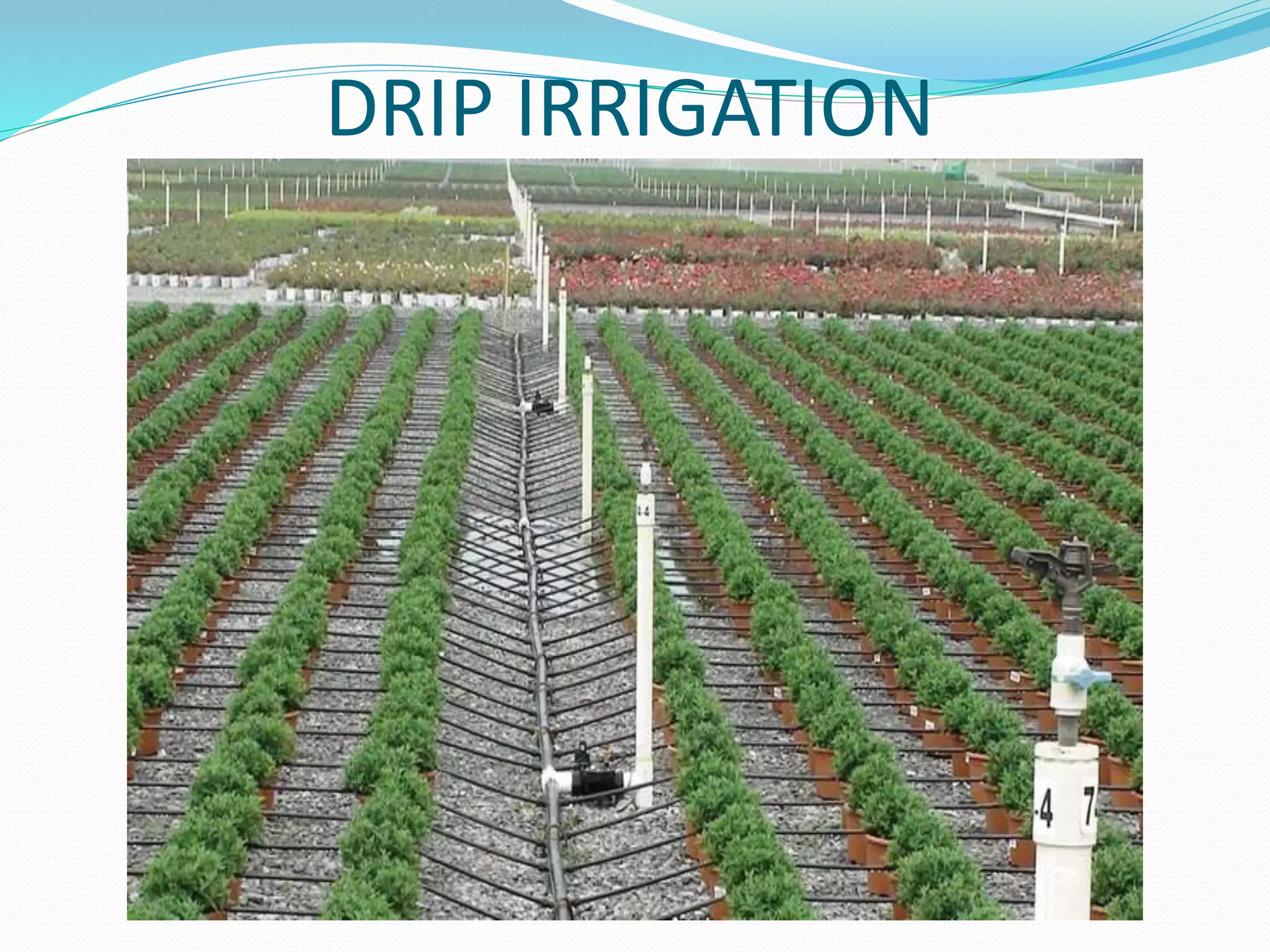 Overview of irrigation | PPTX