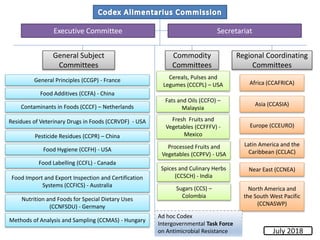 OVERVIEW OF INTERNATIONAL STANDARD- SETTING BODIES | PPTX