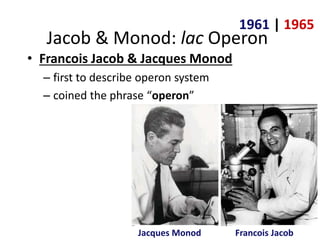 Over view of lac I [inhibitor] | PPTX | Genetics | Science