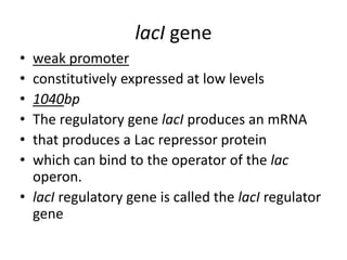 Over view of lac I [inhibitor] | PPTX | Genetics | Science