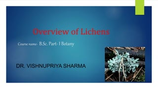 Overview of lichens | PPTX