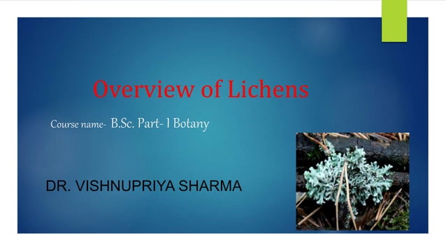 Overview of lichens | PPTX | Geography | Science