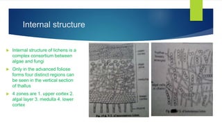 Overview of lichens | PPTX