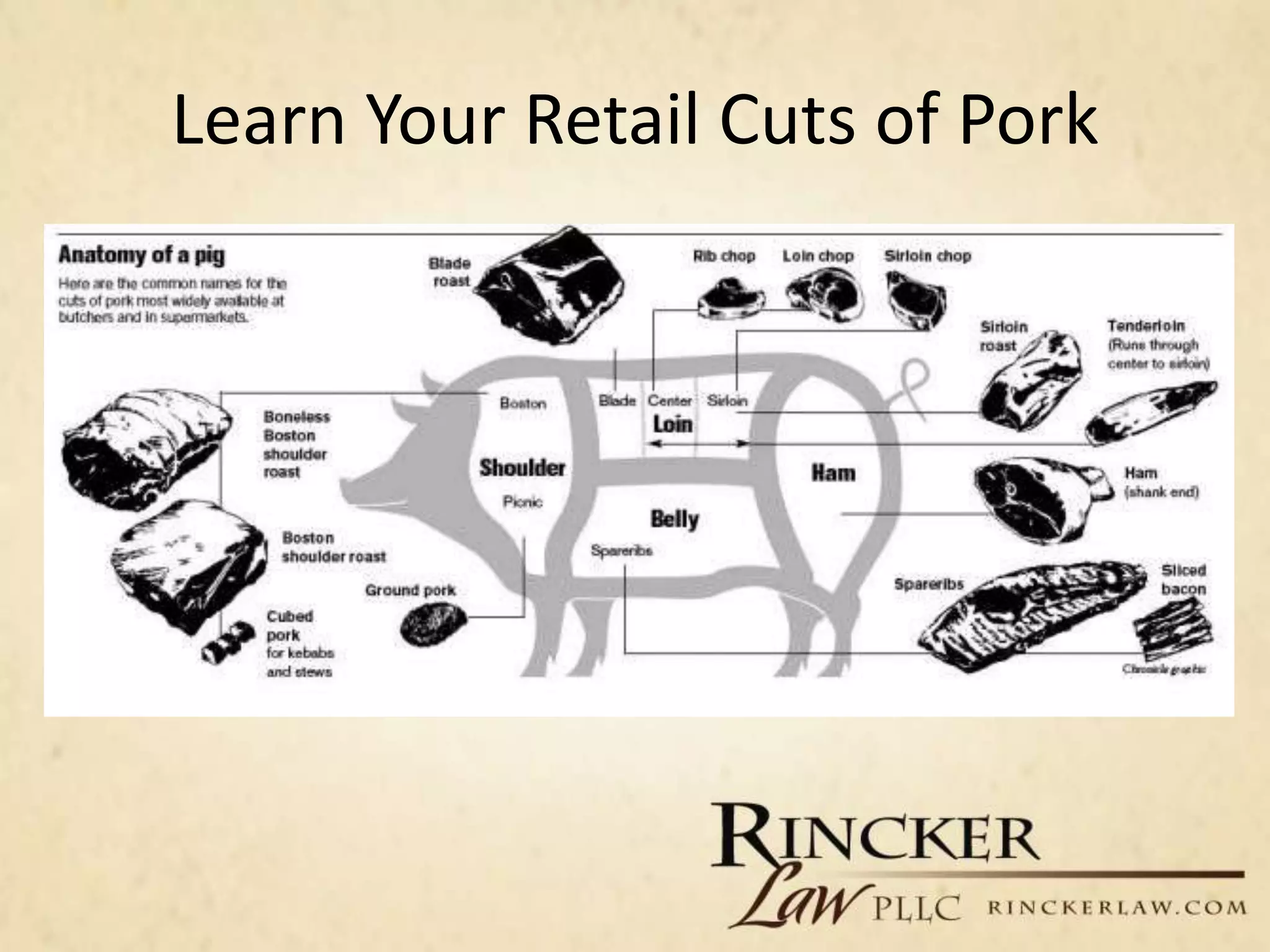 Overview of Livestock Judging | PPTX