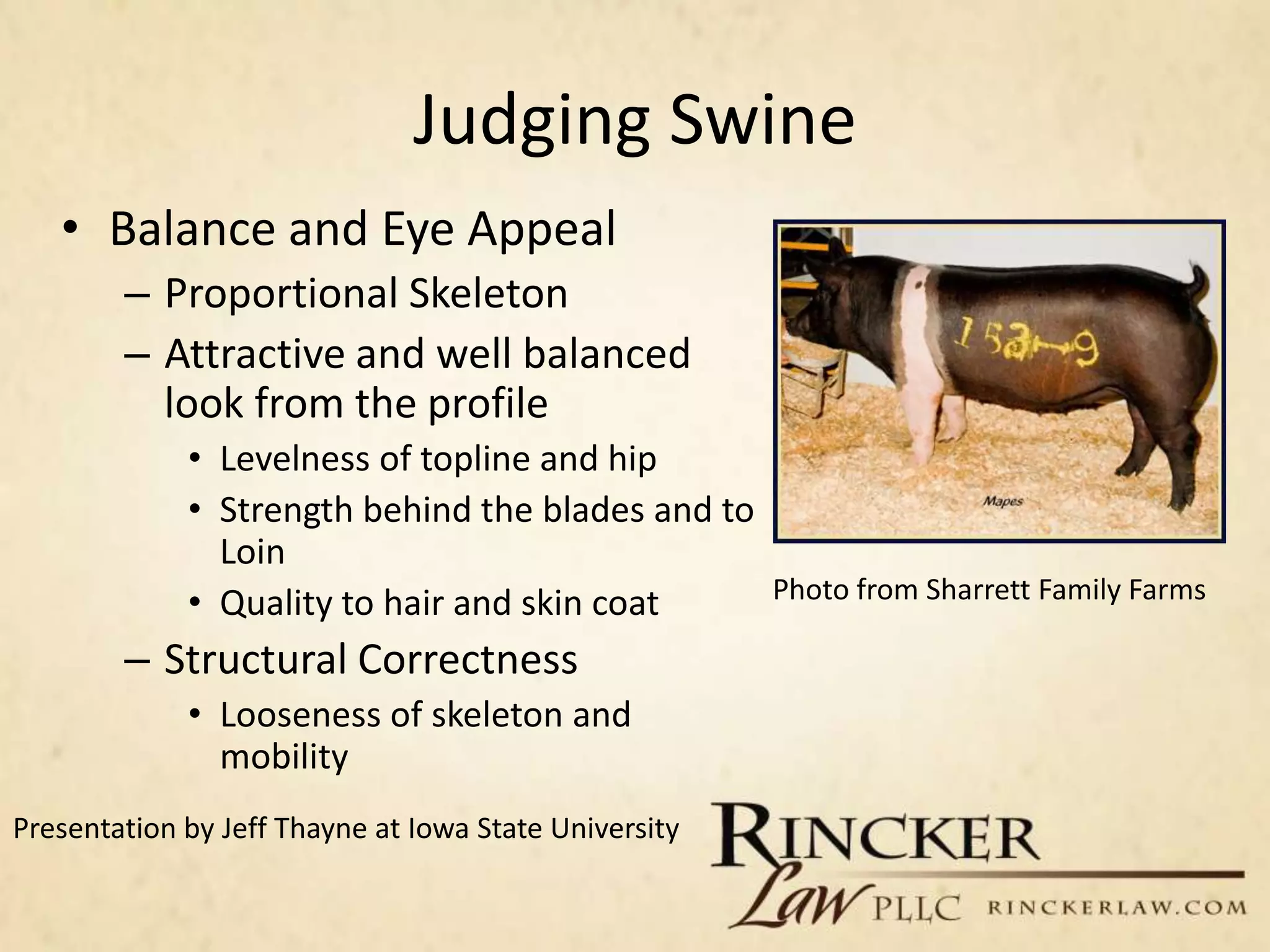 Overview of Livestock Judging | PPTX