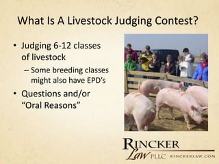 Overview of Livestock Judging | PPTX