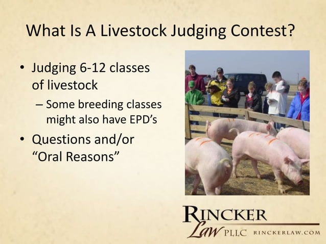 Overview of Livestock Judging | PPTX