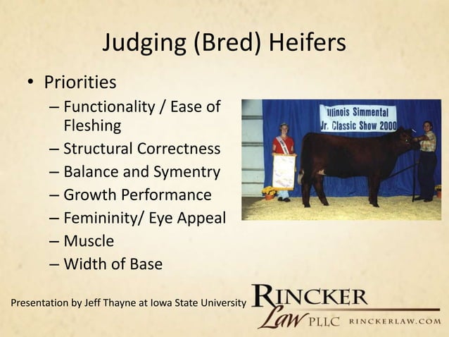 Overview of Livestock Judging | PPTX