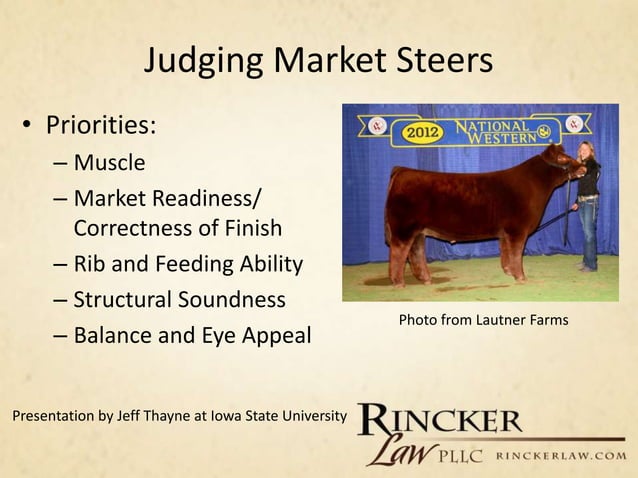 Overview of Livestock Judging | PPTX