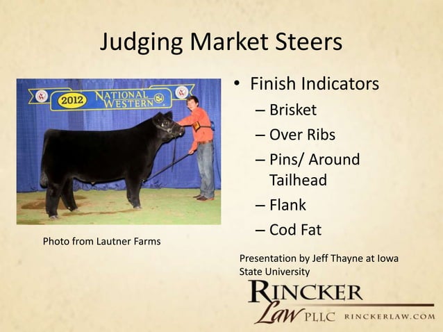 Overview of Livestock Judging | PPTX