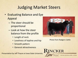 Overview of Livestock Judging | PPTX
