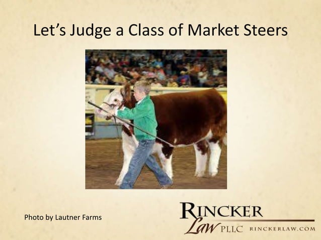 Overview of Livestock Judging | PPTX