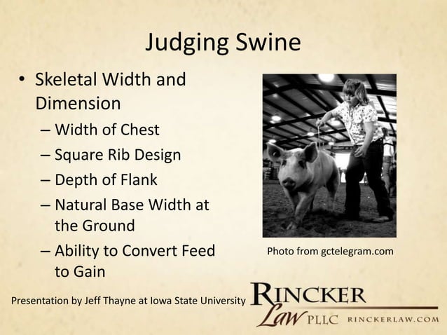Overview of Livestock Judging | PPTX