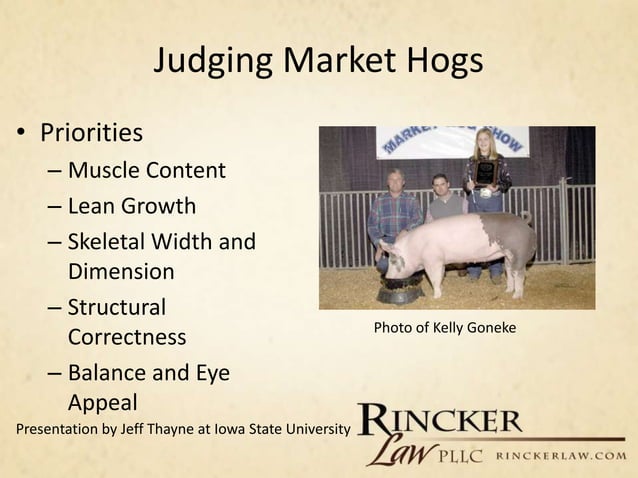 Overview of Livestock Judging | PPTX
