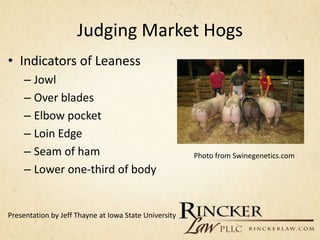Overview of Livestock Judging | PPTX