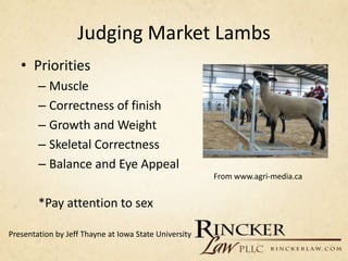 Overview of Livestock Judging | PPTX